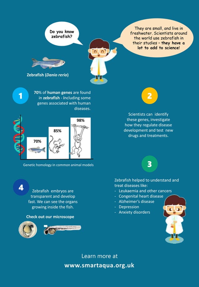 Cartoon and FAQ about zebrafish, killifish and lumpfish | PDF