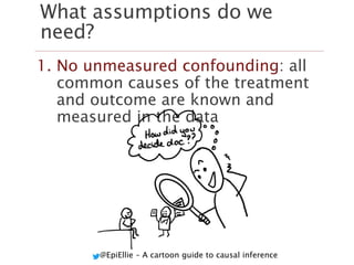 A Cartoon Guide to Causal Inference | PPTX | Science