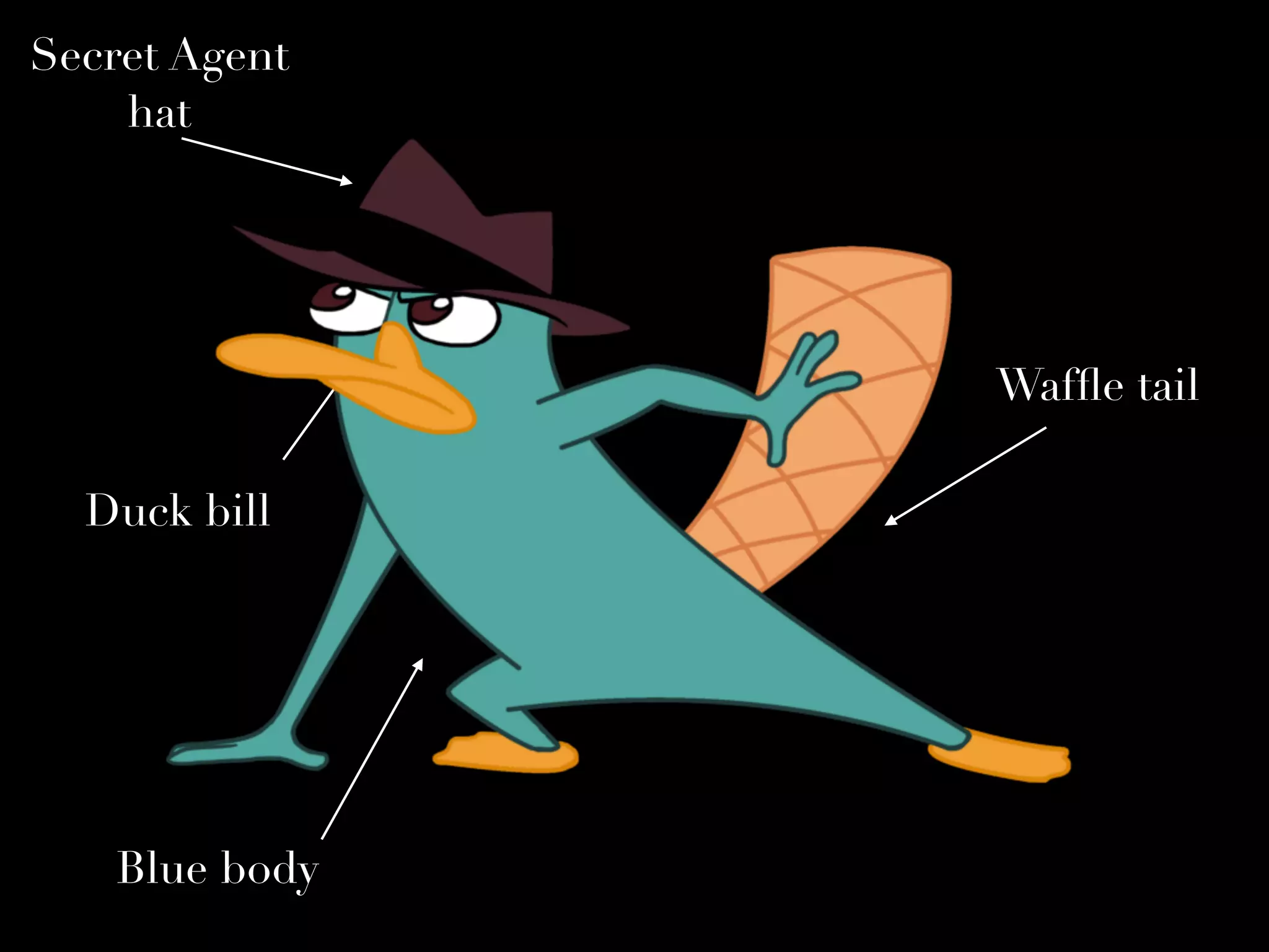 Cartoon Characterization of Perry the Platypus | PPT
