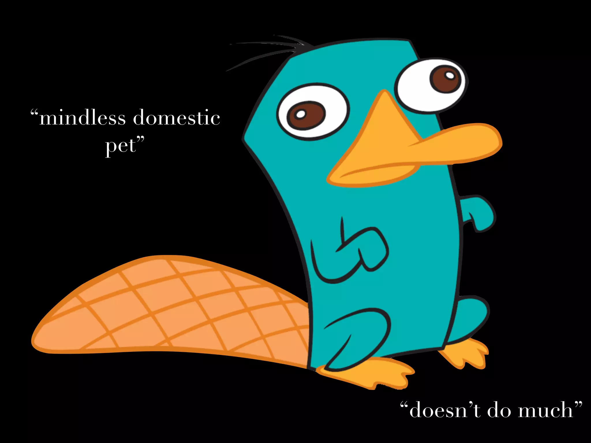 Cartoon Characterization of Perry the Platypus | PPT