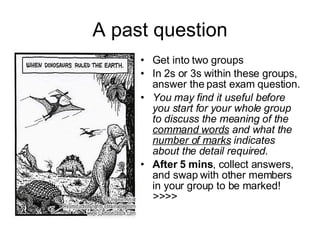 Cartoons In Exams | PPT