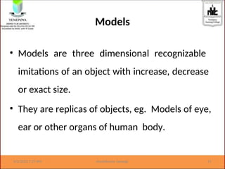 Cartoons, Models, Puppets, objects and specimen.ppt