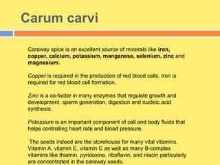 Carum carvi medicinal uses ppt y.vani