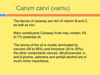 Carum carvi medicinal uses ppt y.vani