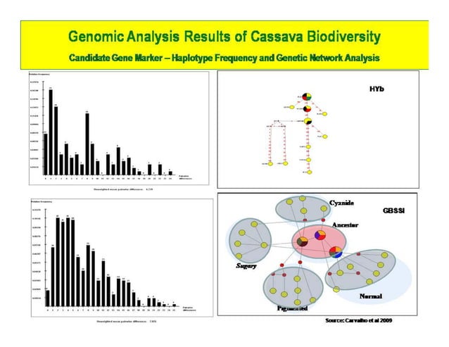 Gene expression analysis in storage root of cassava using microarray data | PDF