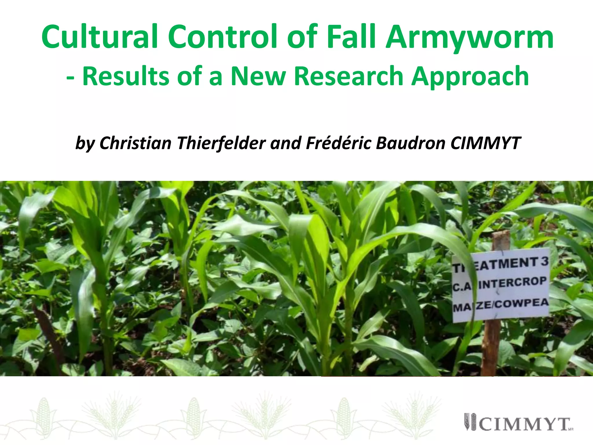 Cultural Control of Fall Armyworm : Results of New Approaches | PDF