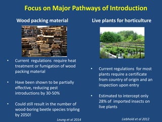 Causes and Ecosystem Impacts of Invasive Species: Spotlight on Forest ...