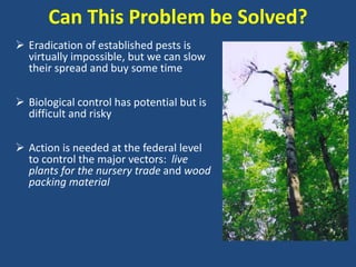 Causes and Ecosystem Impacts of Invasive Species: Spotlight on Forest ...