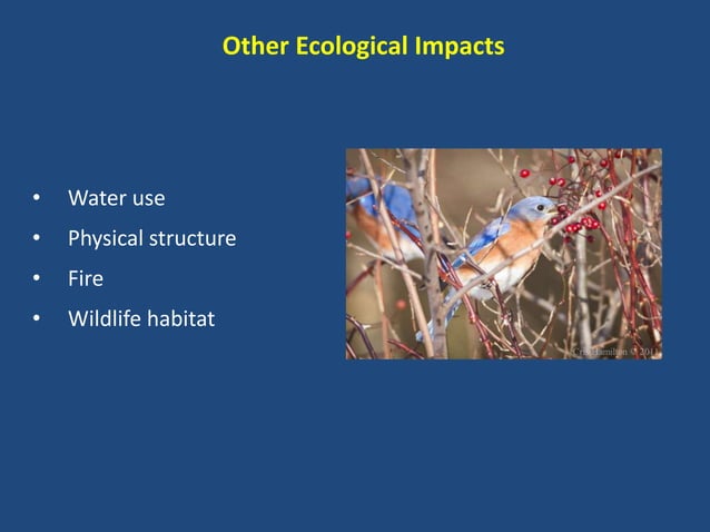 Causes and Ecosystem Impacts of Invasive Species: Spotlight on Forest ...