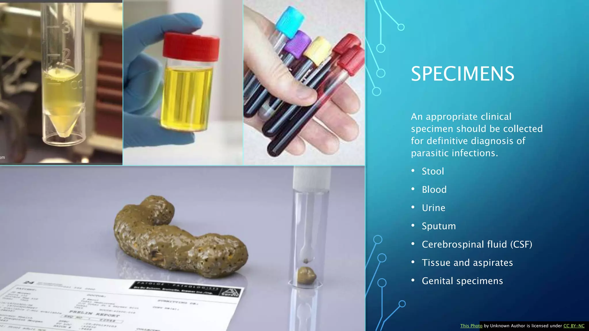 Lab Diagnosis-Parasitology | PPTX