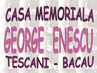 Casa Memoriala George Enescu.N | PPS