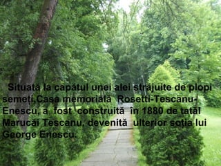 Casa Memoriala George Enescu.N | PPS