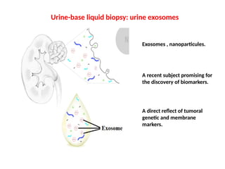 urine-based liquid biopsy for diagnostic of urogenital cancer | PPT