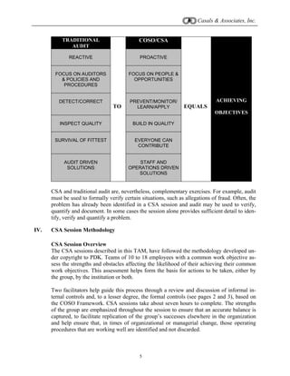 Casals technical assistance control self assessment | PDF