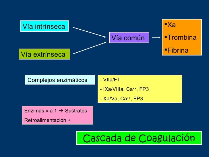 Vía Intrínseca de la Cascada de Coagulación