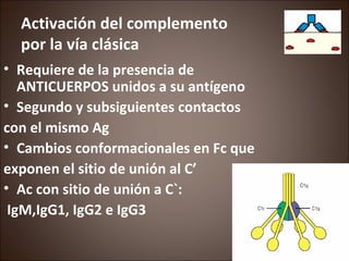 Cascada del complemento | PPT