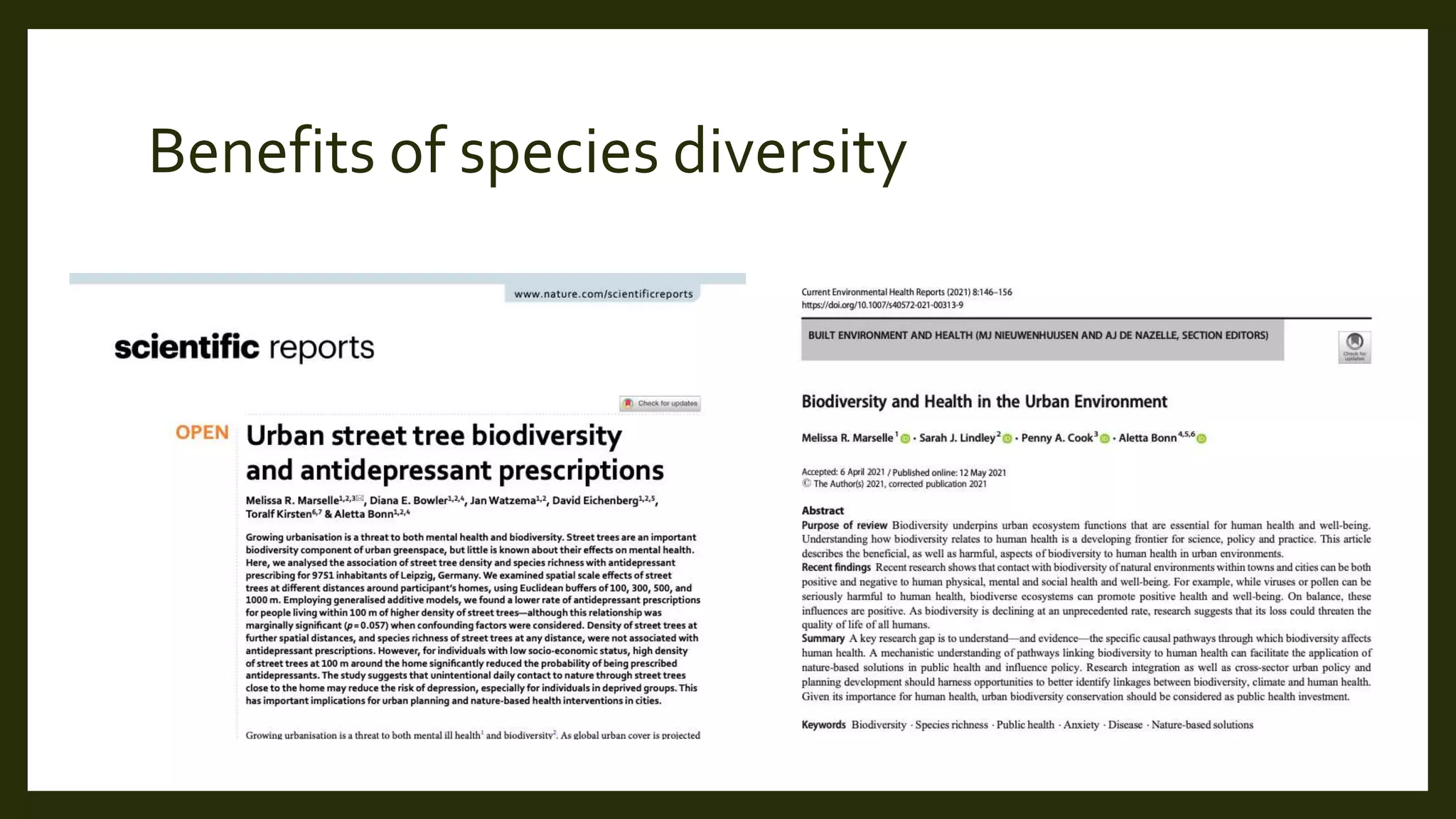 Increasing The Urban Forest Resiliency Through Greater Tree Diversity Ppt