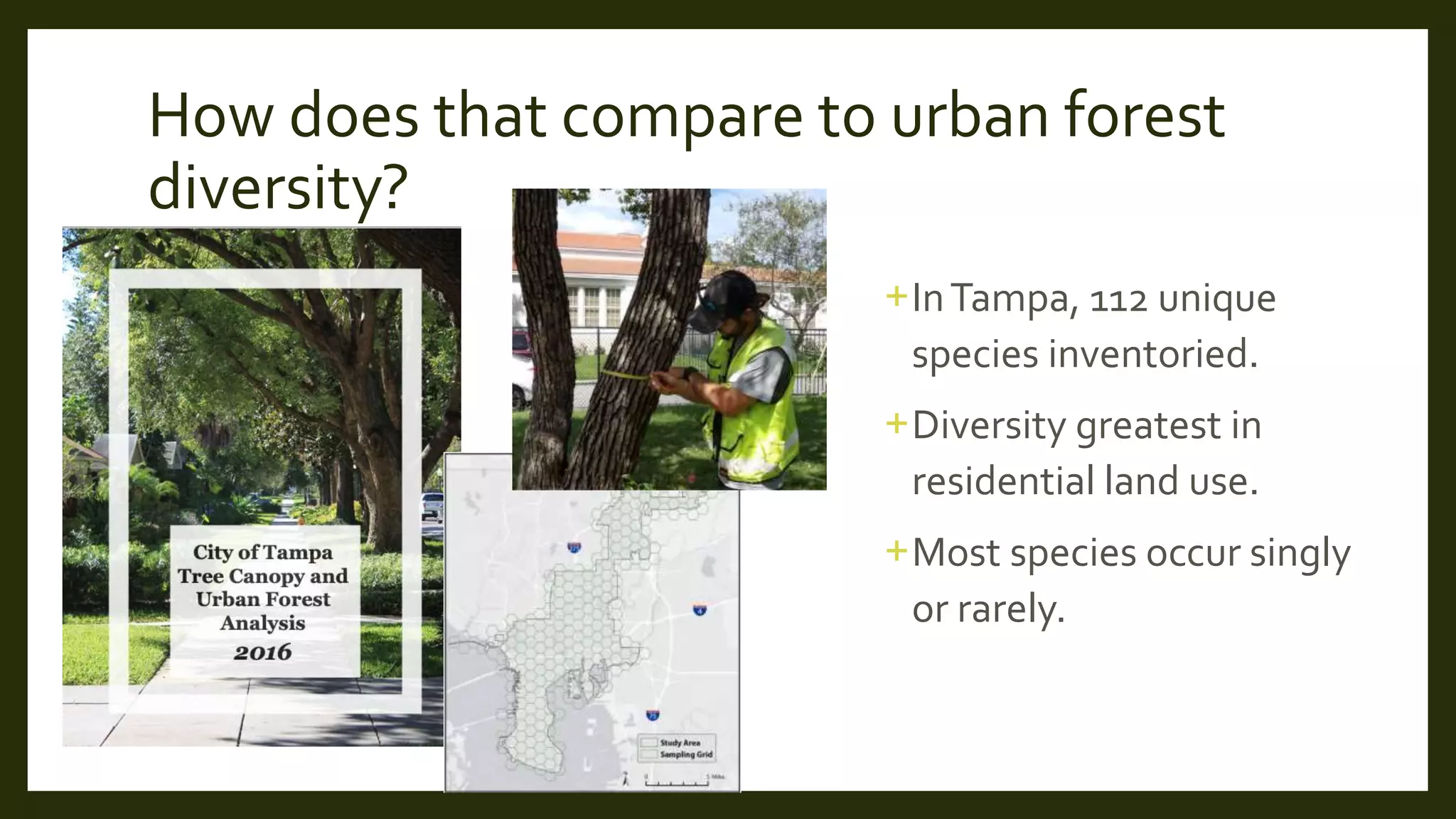 Increasing The Urban Forest Resiliency Through Greater Tree Diversity Ppt