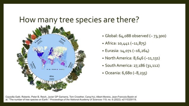 Increasing the Urban Forest Resiliency Through Greater Tree Diversity | PPT