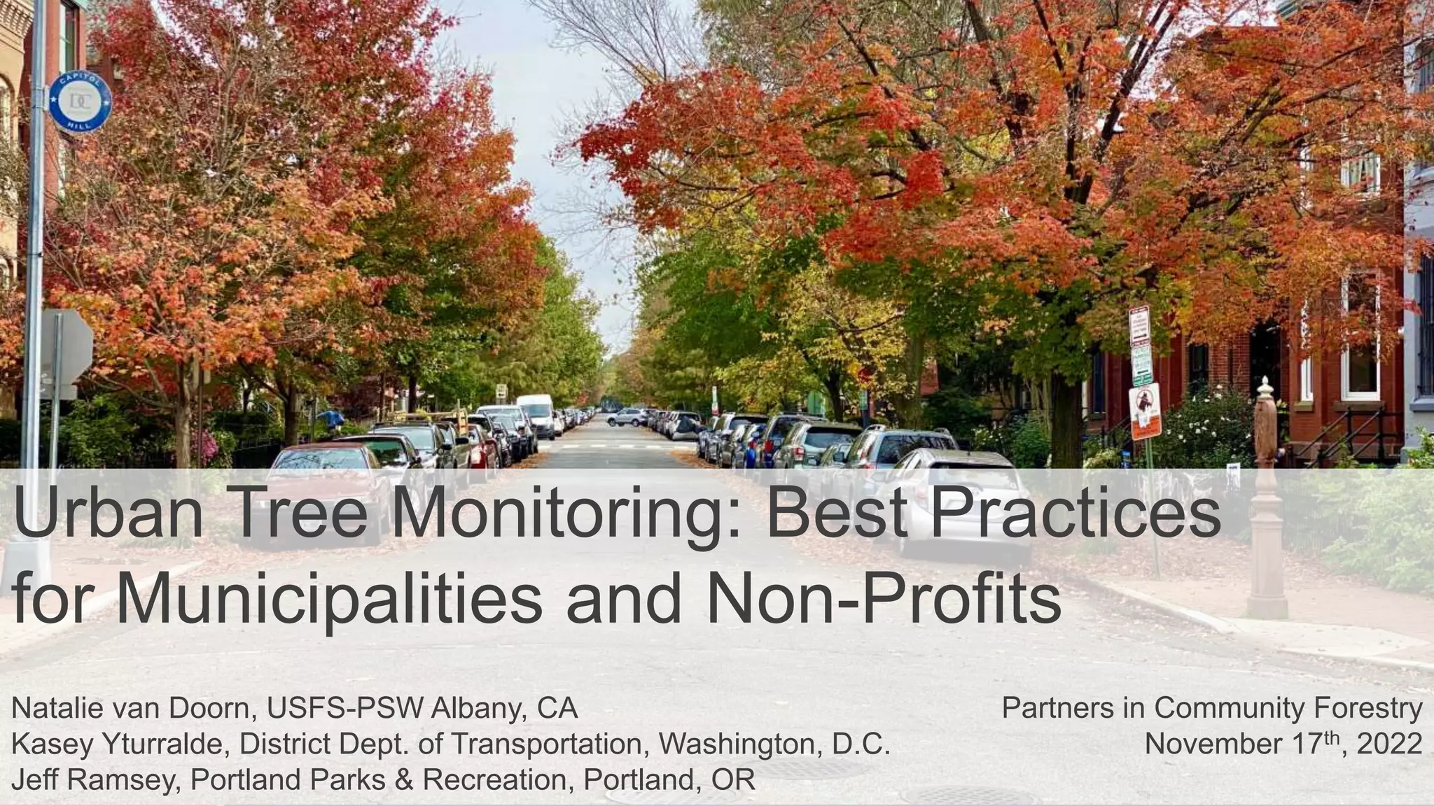 Urban Tree Monitoring: Best Practices for Municipalities and Nonprofits ...