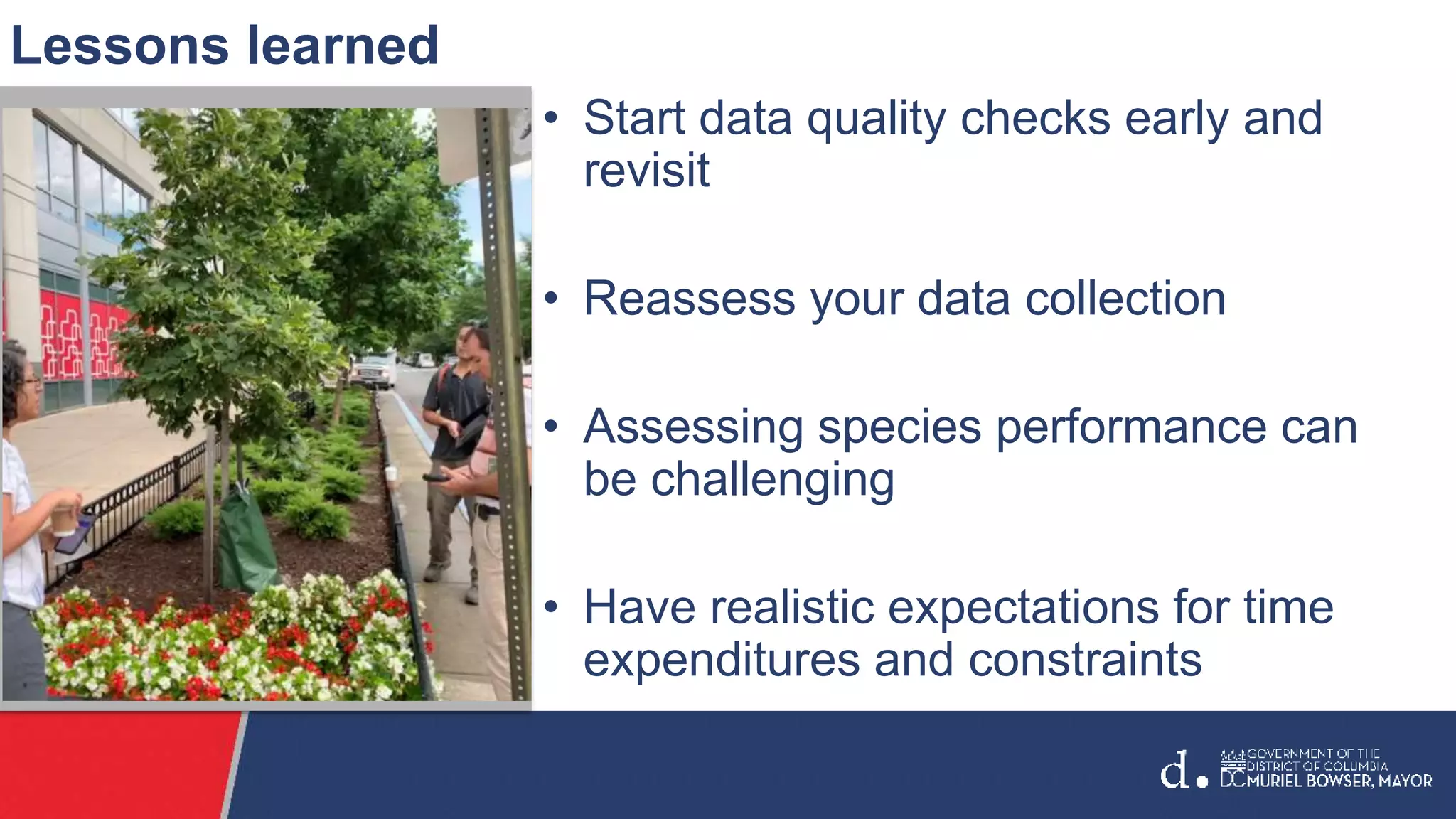 Urban Tree Monitoring: Best Practices for Municipalities and Nonprofits ...