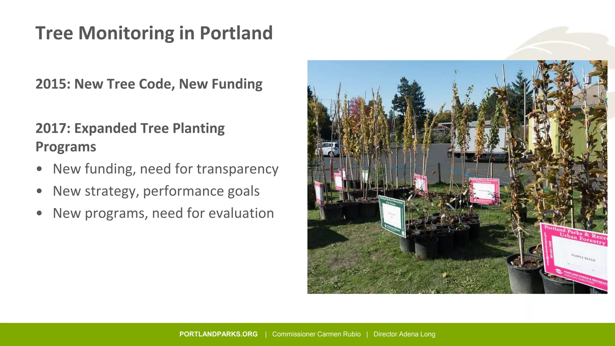 Urban Tree Monitoring: Best Practices for Municipalities and Nonprofits ...