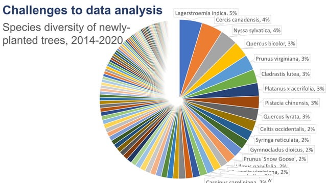 Urban Tree Monitoring: Best Practices for Municipalities and Nonprofits ...