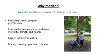 Urban Tree Monitoring: Best Practices for Municipalities and Nonprofits ...
