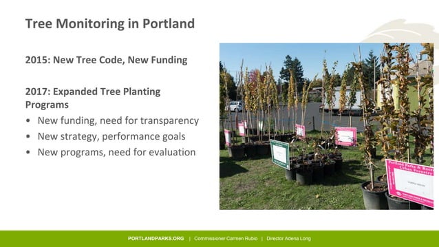 Urban Tree Monitoring: Best Practices for Municipalities and Nonprofits ...