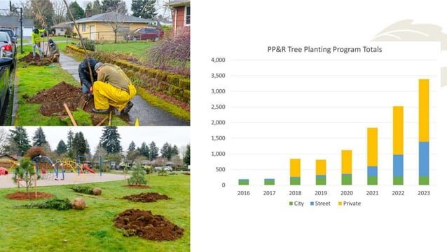 Urban Tree Monitoring: Best Practices for Municipalities and Nonprofits ...