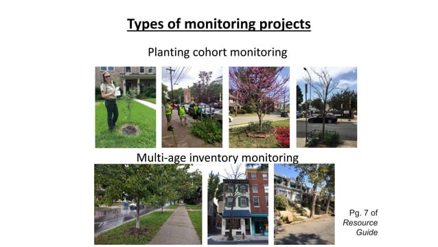 Urban Tree Monitoring: Best Practices for Municipalities and Nonprofits ...