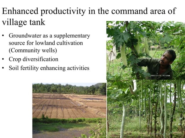 Cascade development planning | PPTX