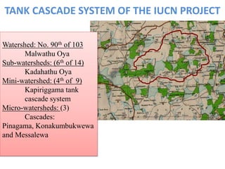 Cascade development planning | PPTX