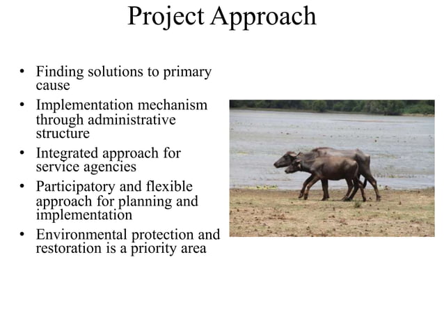 Cascade development planning | PPTX