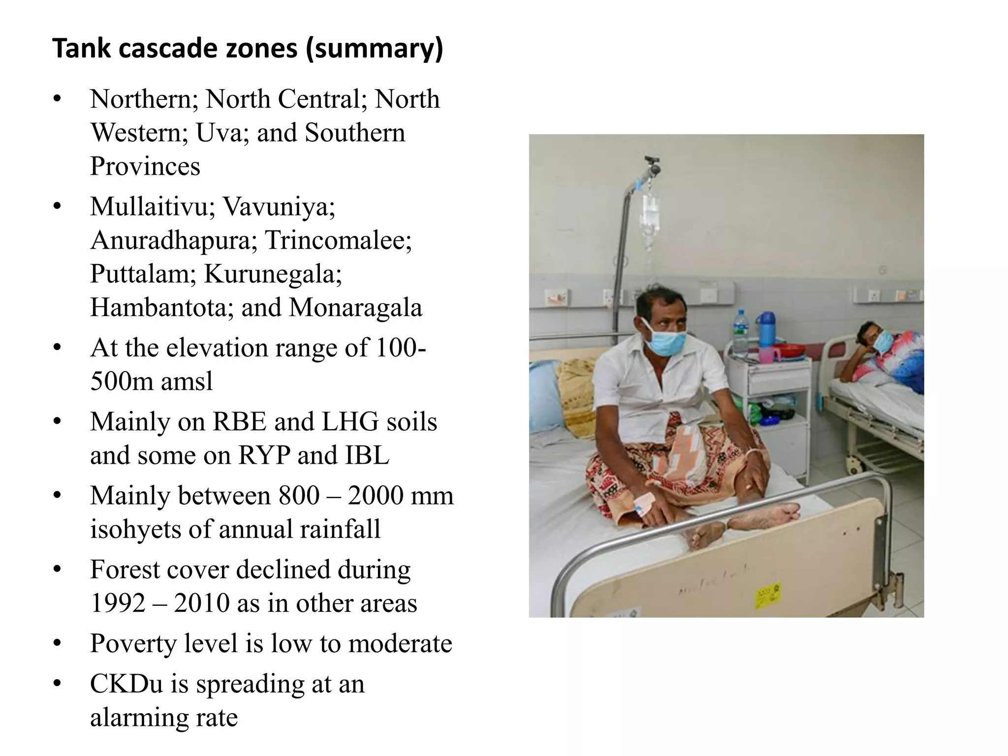 Overview of small tank cascades: Evolution, present status and future ...