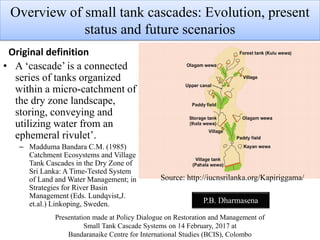 Overview of small tank cascades: Evolution, present status and future ...