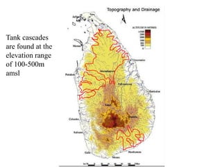 Overview of small tank cascades: Evolution, present status and future ...