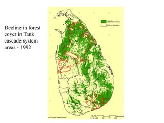 Overview of small tank cascades: Evolution, present status and future ...