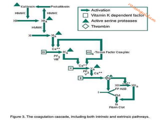 Cascade theory | PPTX