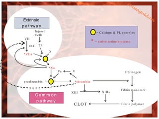 Cascade theory | PPTX