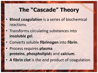 Cascade theory | PPTX