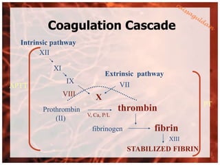 Cascade theory | PPTX