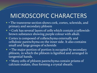 Cascara venkatesh | PPTX | Chemistry | Science