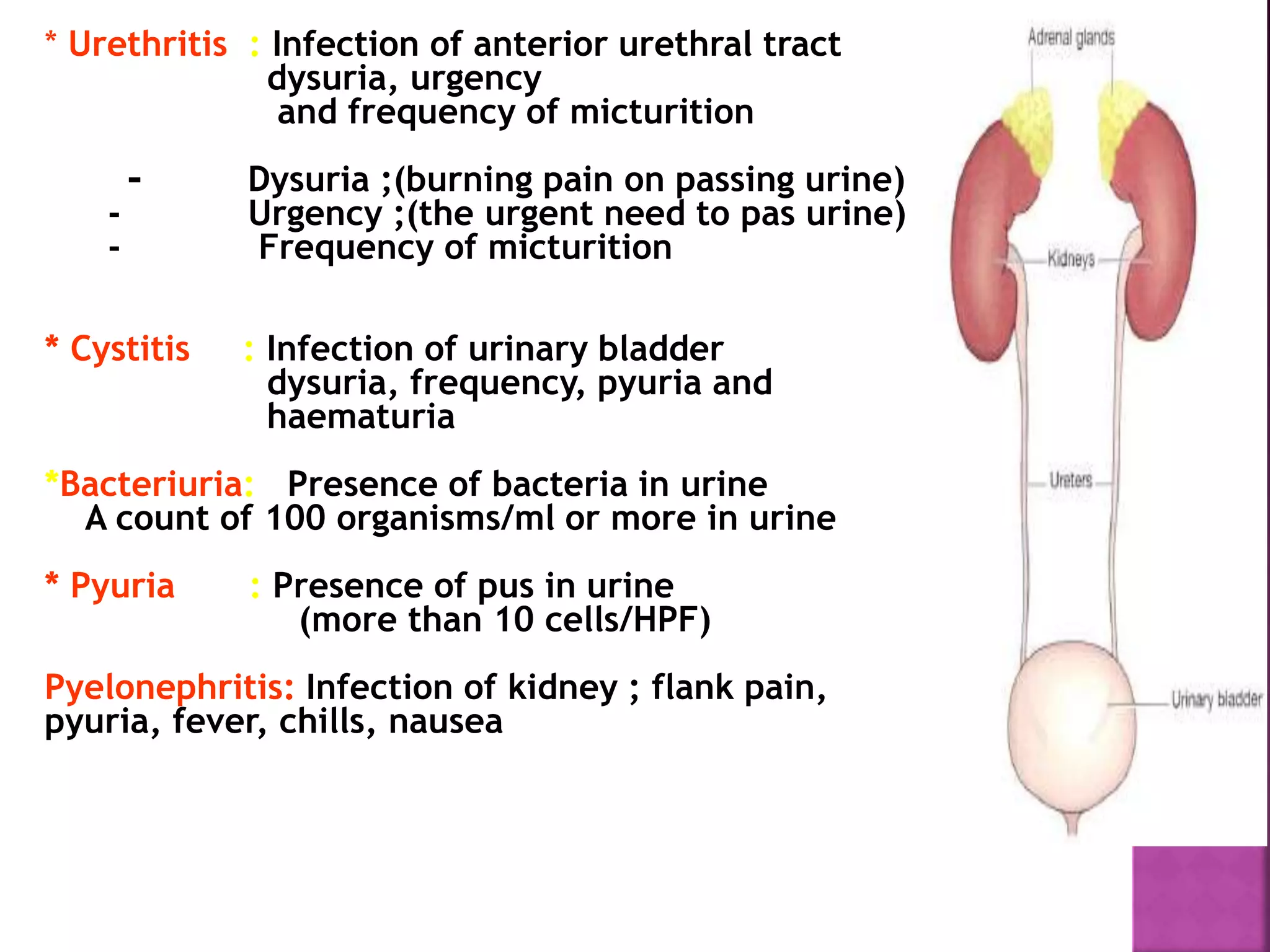 CASE STUDY ON Urinary Tract Infection | PPTX