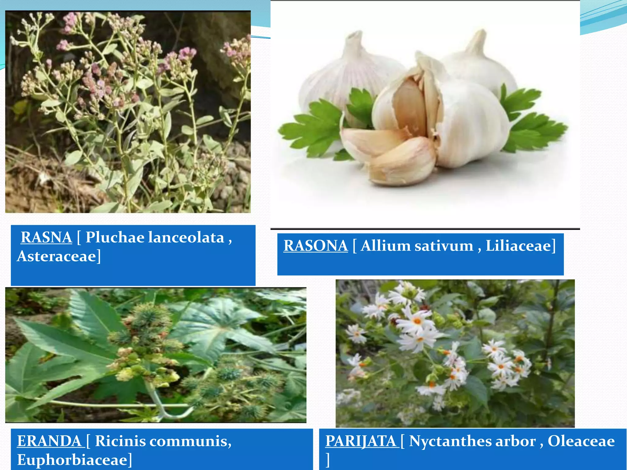 Case presentation | PPTX