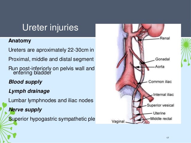 Case and Bladder and Ureteric injuries