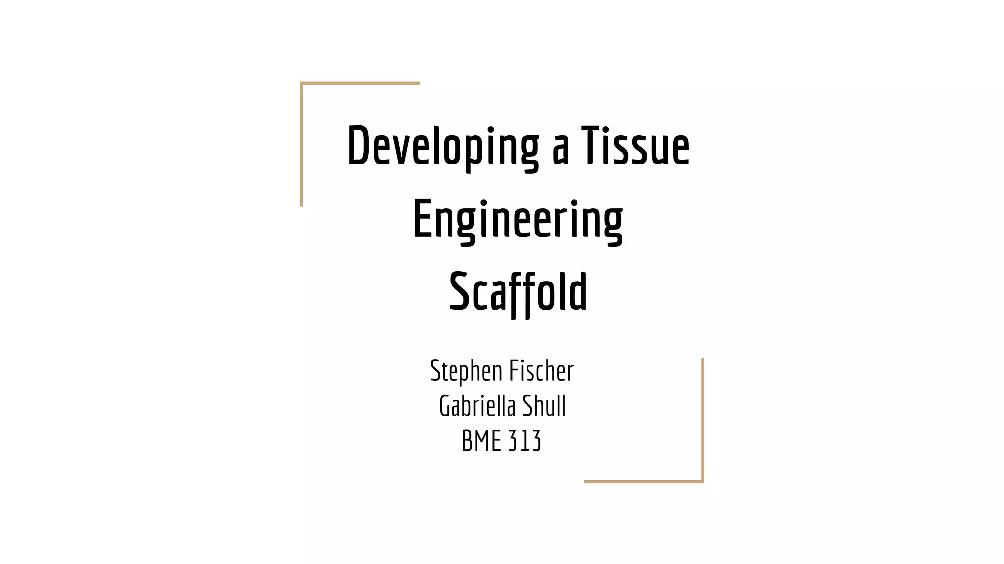 Case study 2 - Tissue Engineering Scaffold | PPT