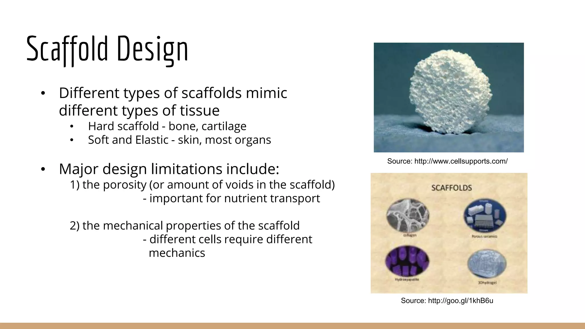 Case study 2 - Tissue Engineering Scaffold | PPT