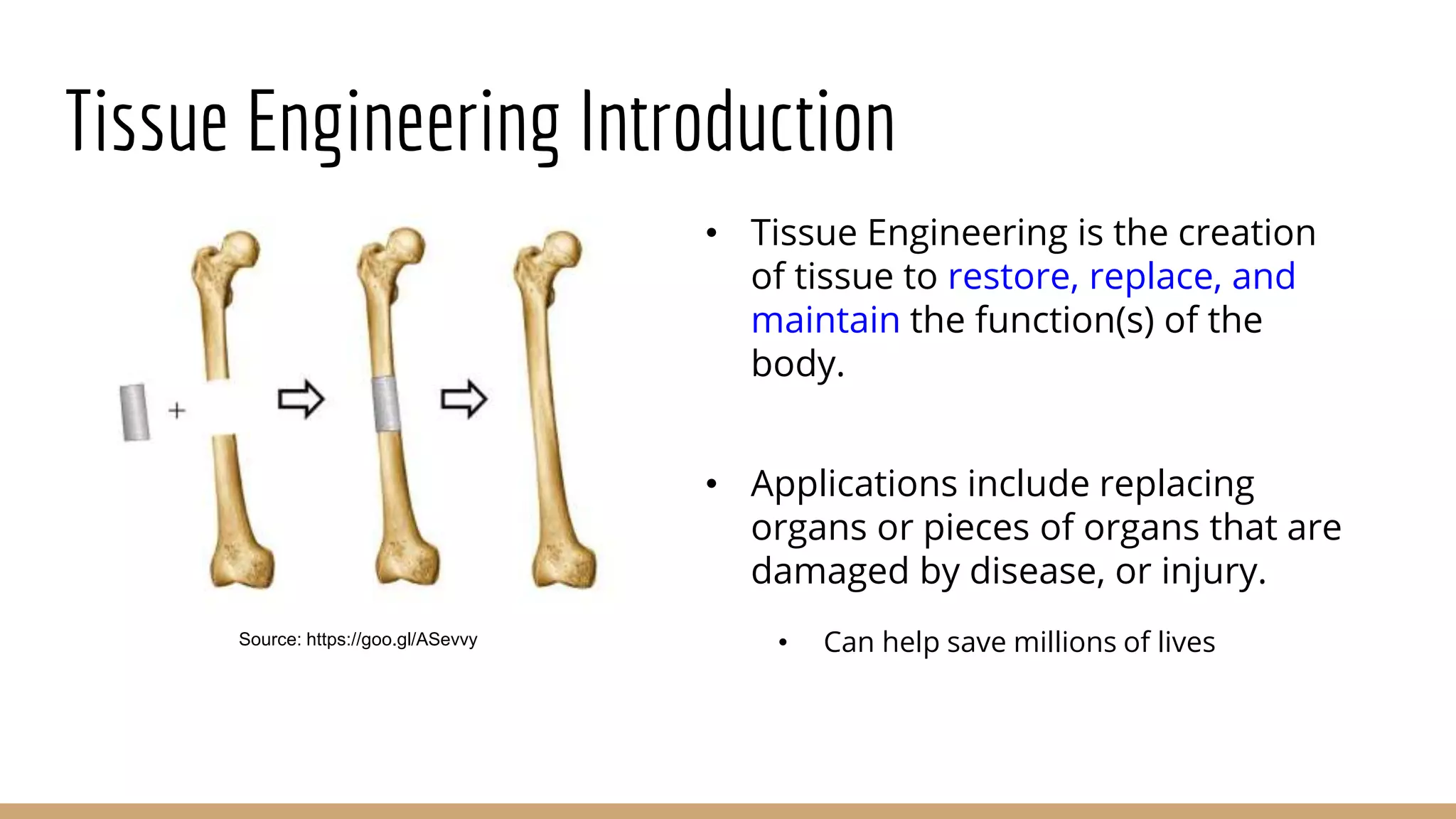 Case study 2 - Tissue Engineering Scaffold | PPT