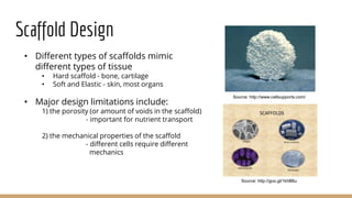 Case study 2 - Tissue Engineering Scaffold | PPT